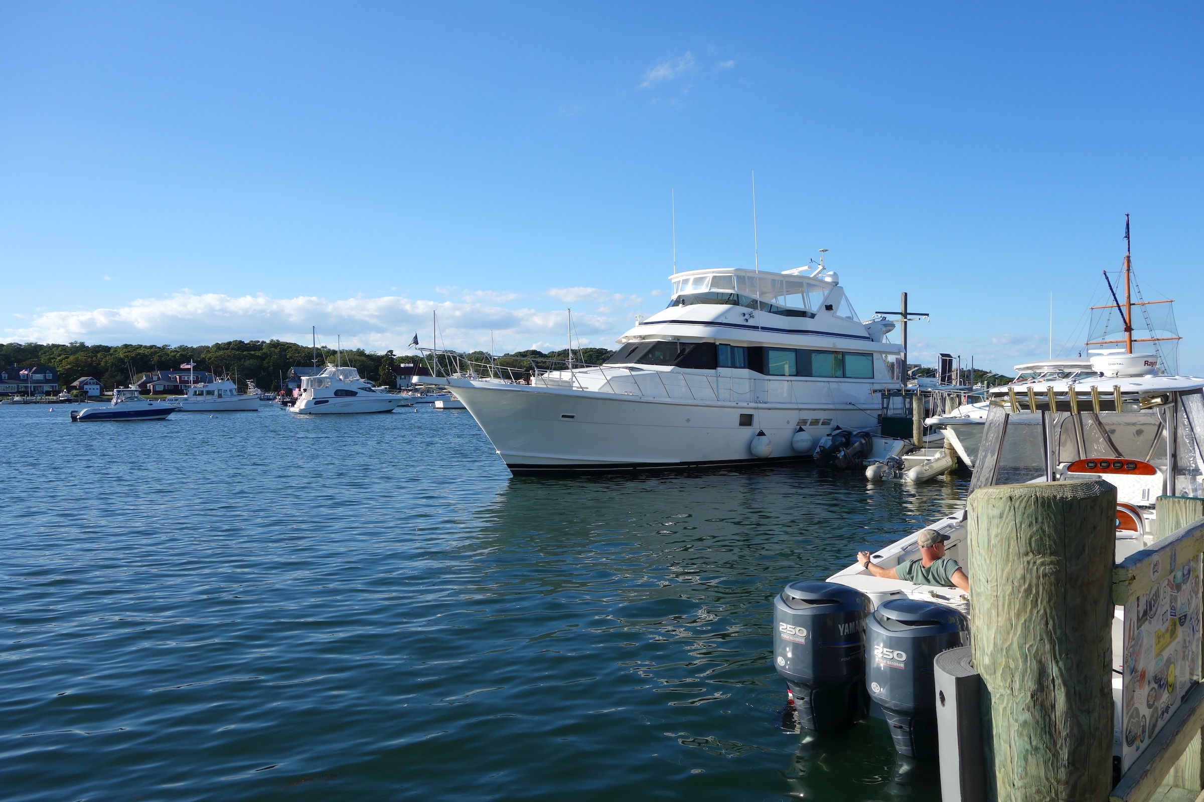 Ferries to Oaks Bluff | Ferry Travel